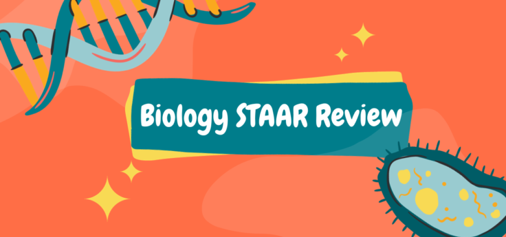 Reading by Design- Dyslexia Intervention | ESC Region 13